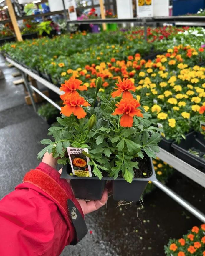 Valley View Farms - Discover Baltimore County