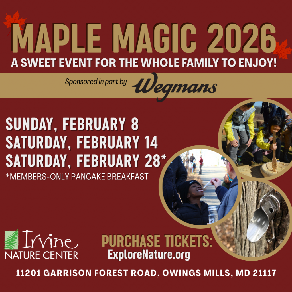 Maple Magic 2026 at Irvine Nature Center - Discover Baltimore County