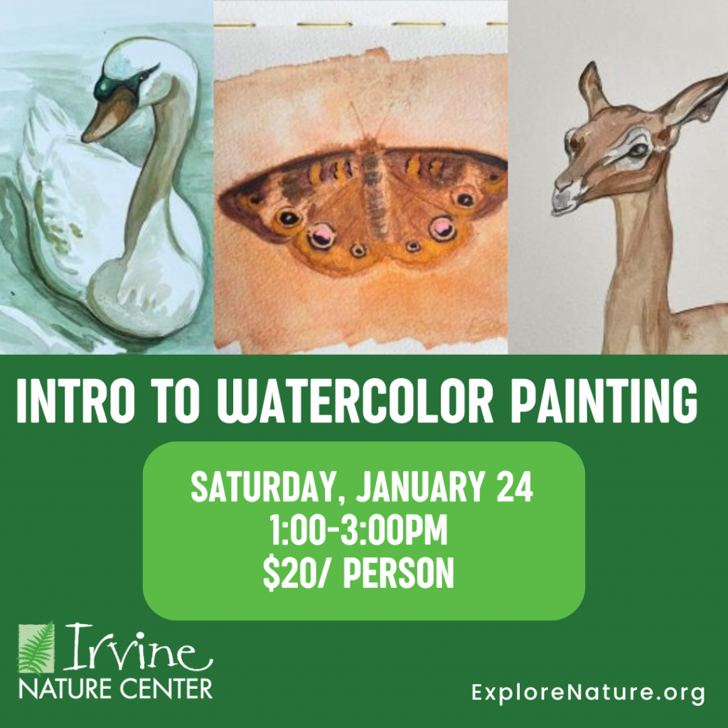 Intro to Watercolor Painting at Irvine Nature Center - Discover ...